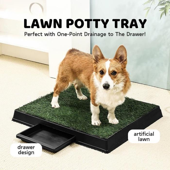 Jual Pee Tray Besar Rumput/ Toilet Anjing Besar Rumput/ Tatakan Poo ...