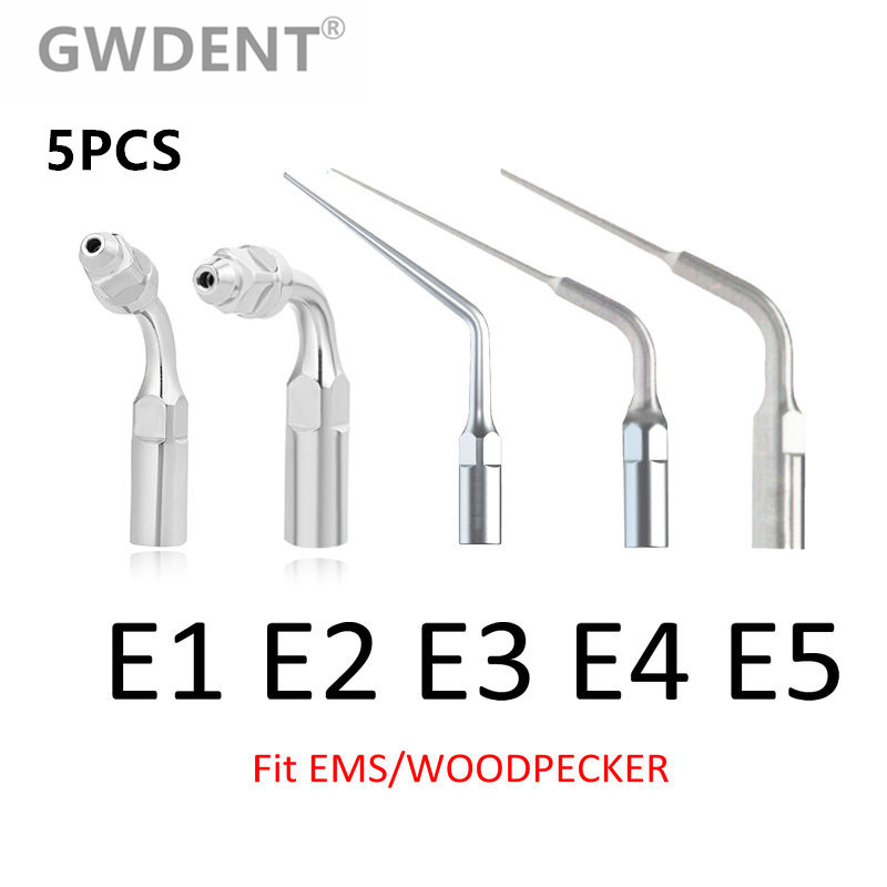 Jual 5Pcs E1,E2,E3,E4,E5, Dental Ultrasonic Scaler Ti Dental Endodontic Endo Tip Fit Ems ...
