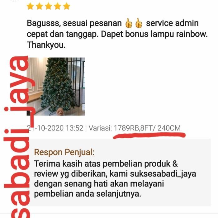 Jual Pohon Natal (1789Rb) Alaska Rainbow Fir Tree Ukuran 7Ft (210Cm ...