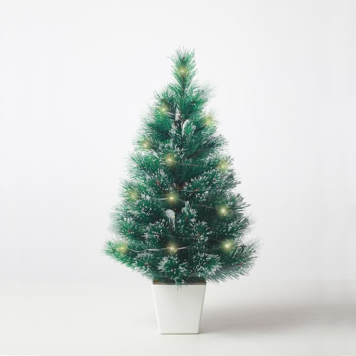 Jual Pohon Natal Premium 45Cm Mini Pot Alaska Rainbow Fir - Christmas ...