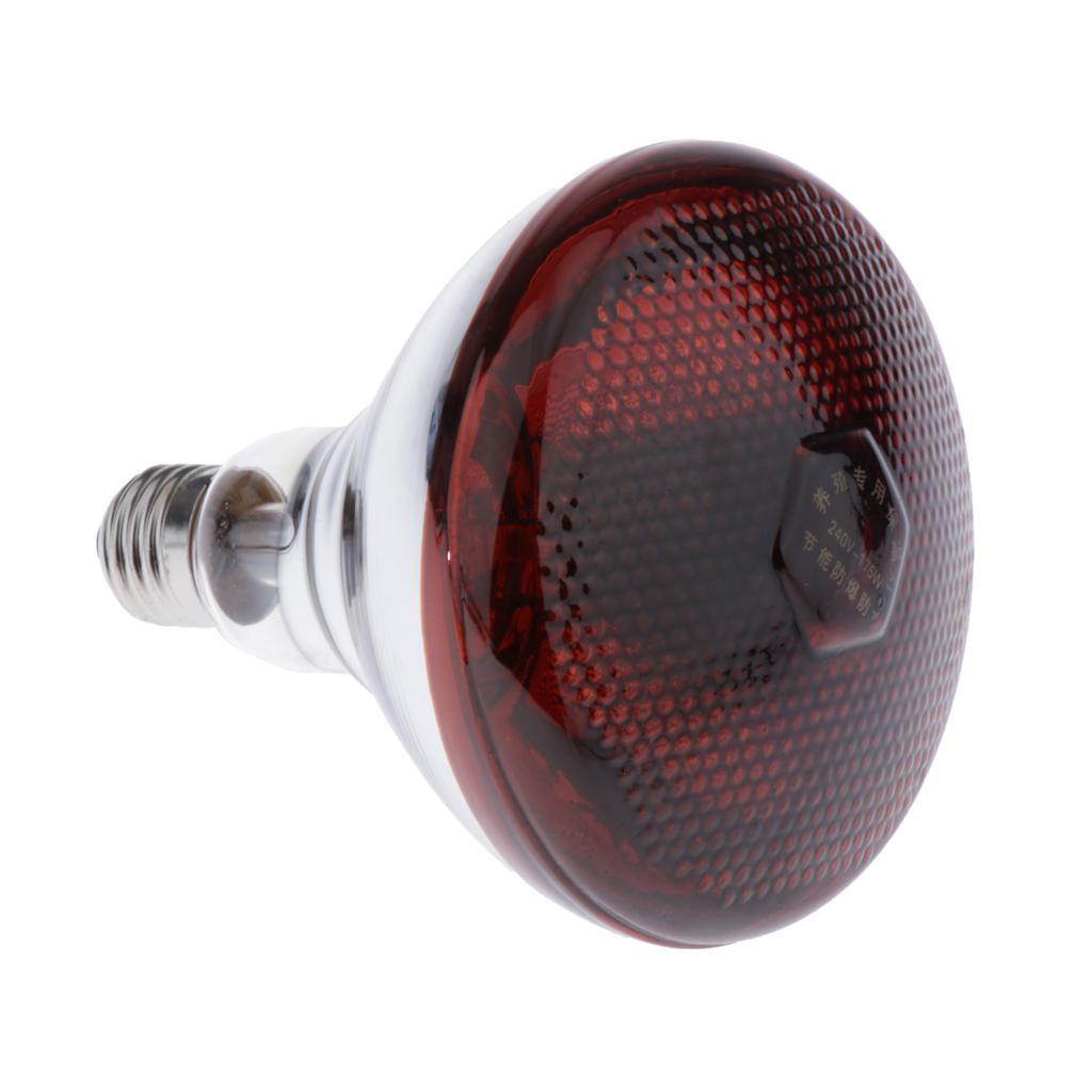 Jual Waterproof E27 Heat Light Bulb Breeding Lamp Infrared Heater ...