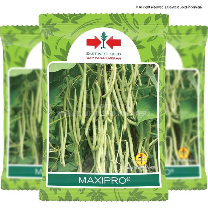 Jual yang dicari@@@@] Benih Buncis MAXIPRO 225 Seed SMALL POUCH Cap ...