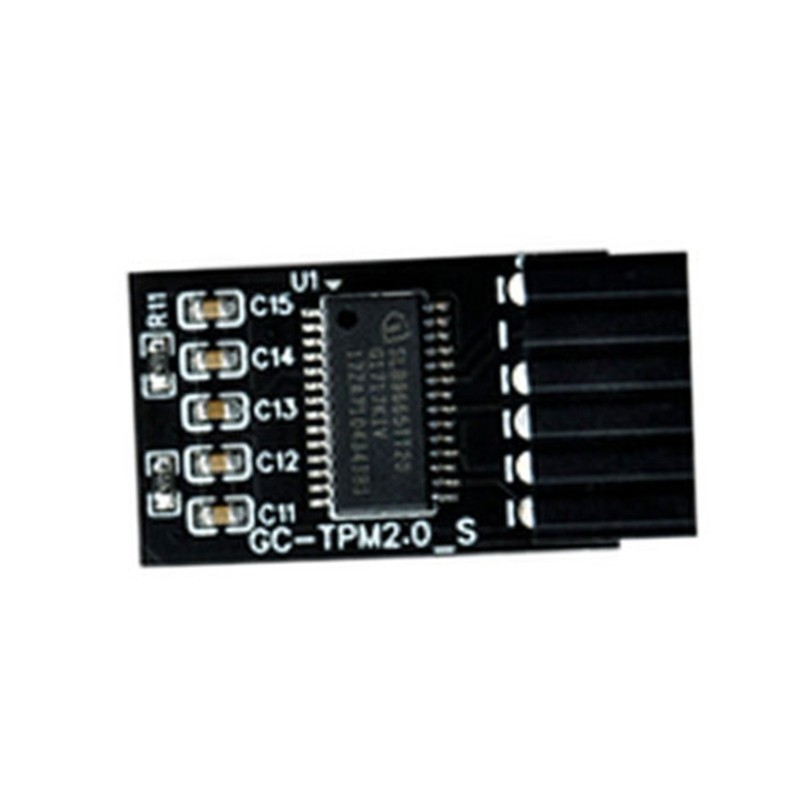 Jual FLASH SALE 12Pin TPM 2.0 Module LPC Encryption TPM Module Board ...