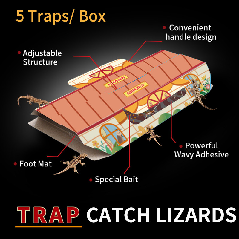 Jual 2 Boxes (10 Traps) Gecko Trap, Lizard Catcher Catching Geckos ...