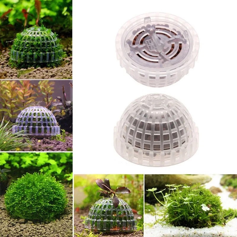 Jual Aquarium Decoration Plants Bio Moss Ball Holder for Aquarium ...
