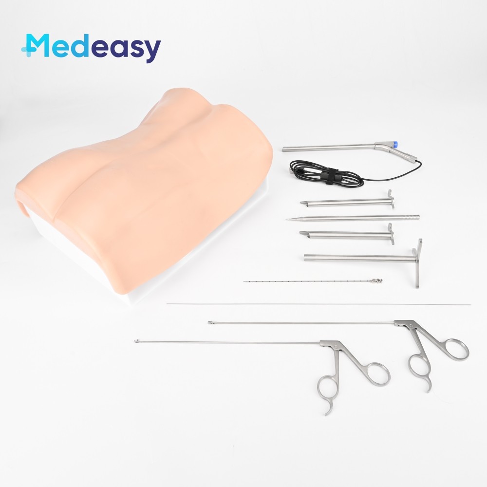 Jual Intervertebral Foramen Simulator with Lumbar Spine Model ...