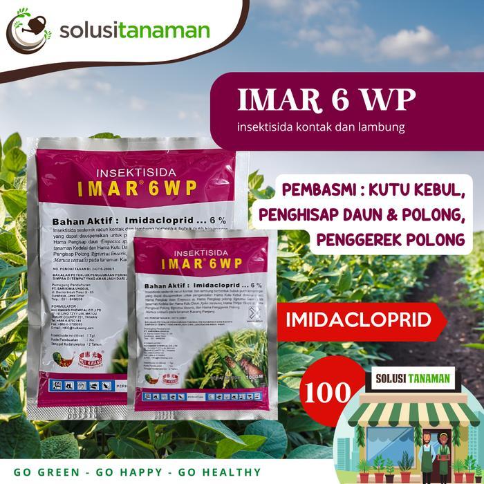 Jual Pestisida Imar 6WP @100gr Obat Insektisida Pembasmi Hama Belalang ...