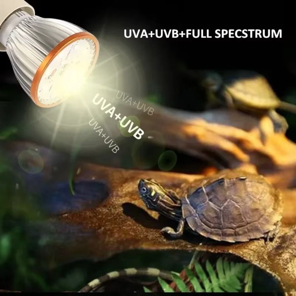 Jual LED Reptile Light Bulb UVA UVB E27 Terrarium Lamp Full Spectrum 5. ...