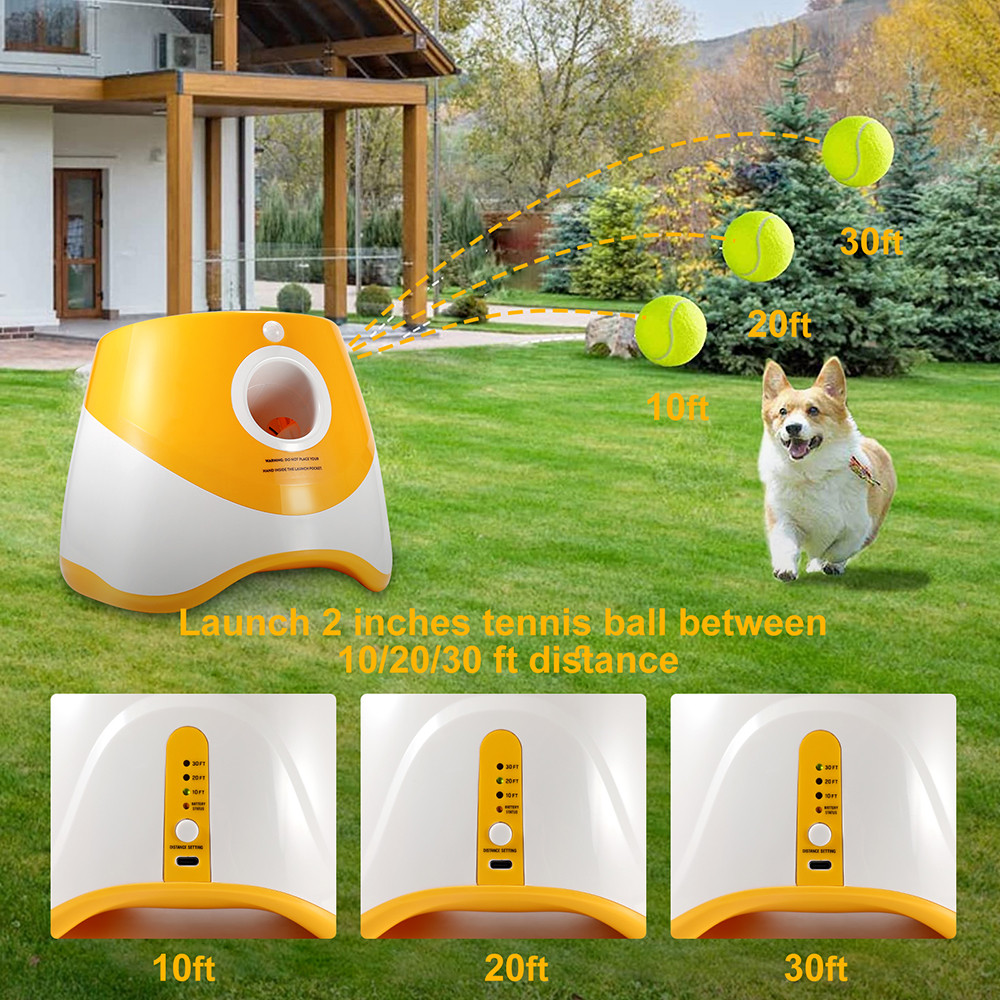 Jual Catapult For Dogs Ball Launcher Dog Toy Tennis Ball Launcher ...