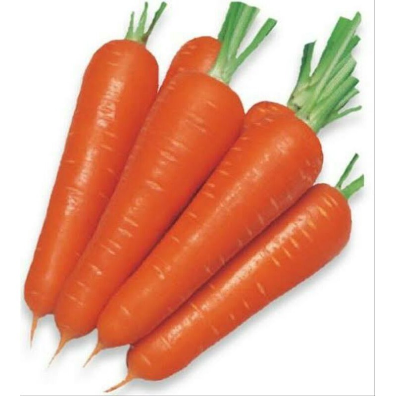 Jual isi paket: 150 Biji - Benih Sayuran Wortel Benih Bibit Sayur ...