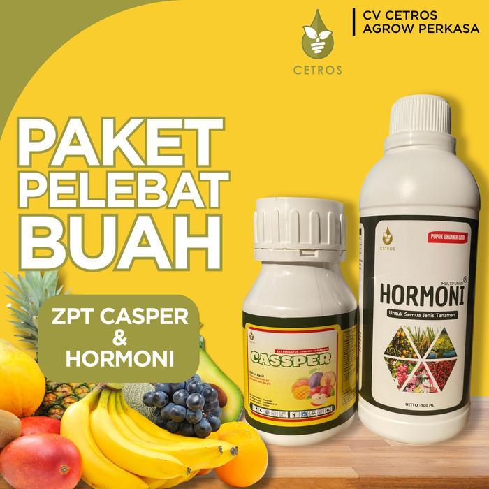 Jual NEWs CETROS Paket Pelebat Buah Zpt Cassper dan Pupuk Hormoni Pupuk ...