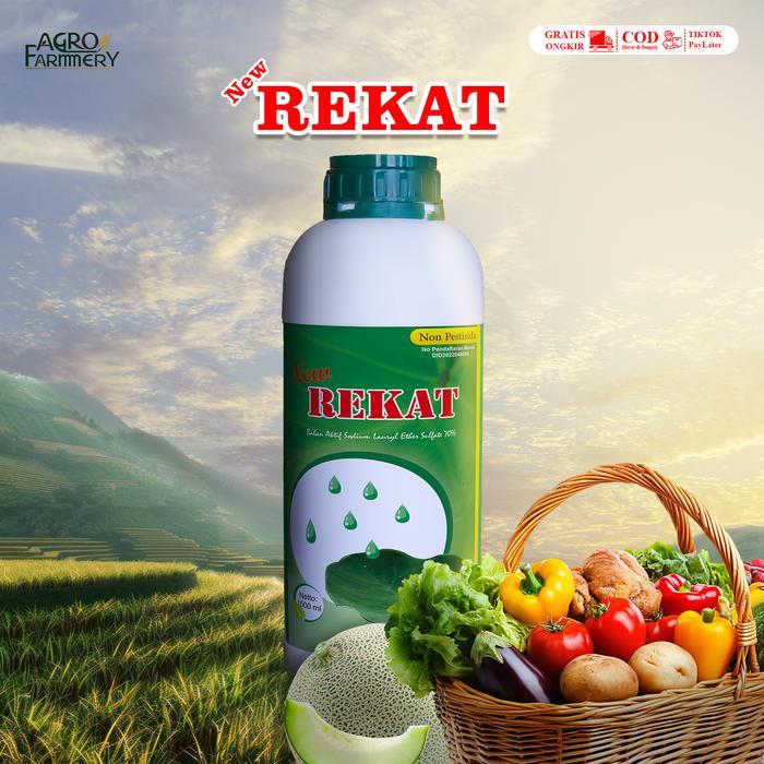 Jual New Rekat 1 Liter Perekat Original Tanaman Cair Sodium Lauryl ...