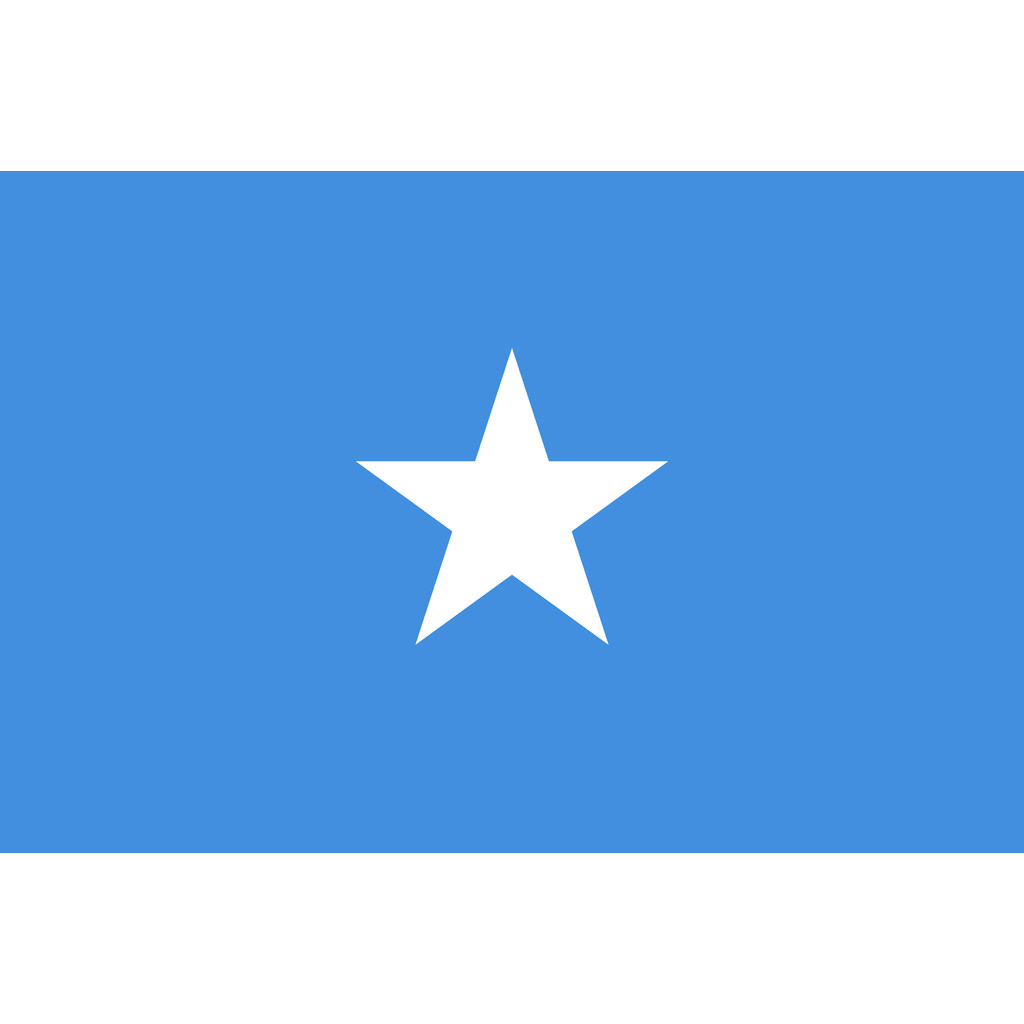 Jual Bendera Negara Somalia Bahan TC Mirror (tembus kebelakang ...