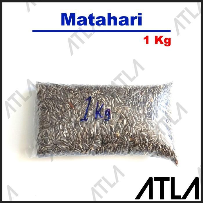 Jual Benih Bunga Matahari 1 kg Biji Bibit Tanaman Sunflower Seed Seeds ...