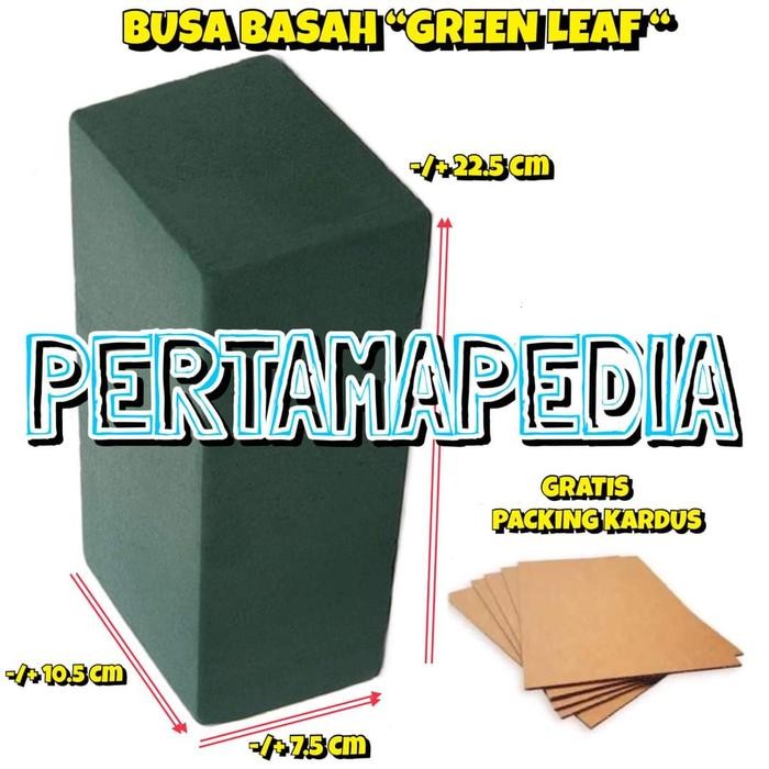 Jual BUSA BUNGA HIDUP BUSA BASAH/ BUSA BUNGA ASLI BUSA BASAH/OASIS ...