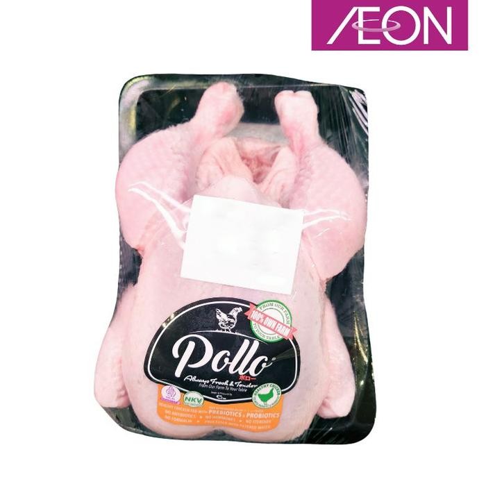 Jual Pilihan- Ayam Pollo Broiler / Karkas / Pollo Chilled Whole Chicken ...