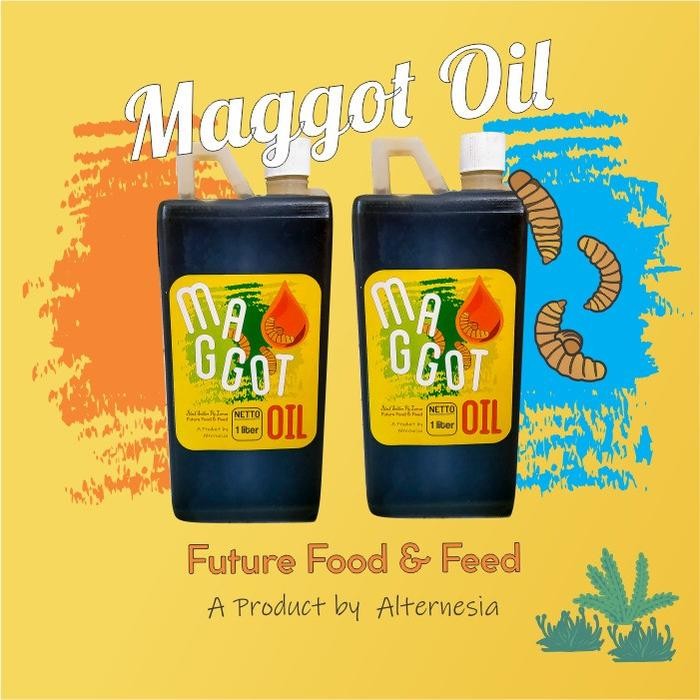 Jual MINYAK MAGGOT OIL ARWANA, CHANNA, KOI, MURAI, LOUHAN, REPTIL ...