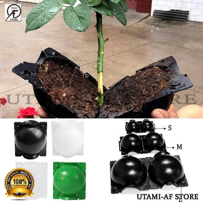 Jual SM- Pot Tanaman Hias High Pressure Plant Root Growing Box Size ...