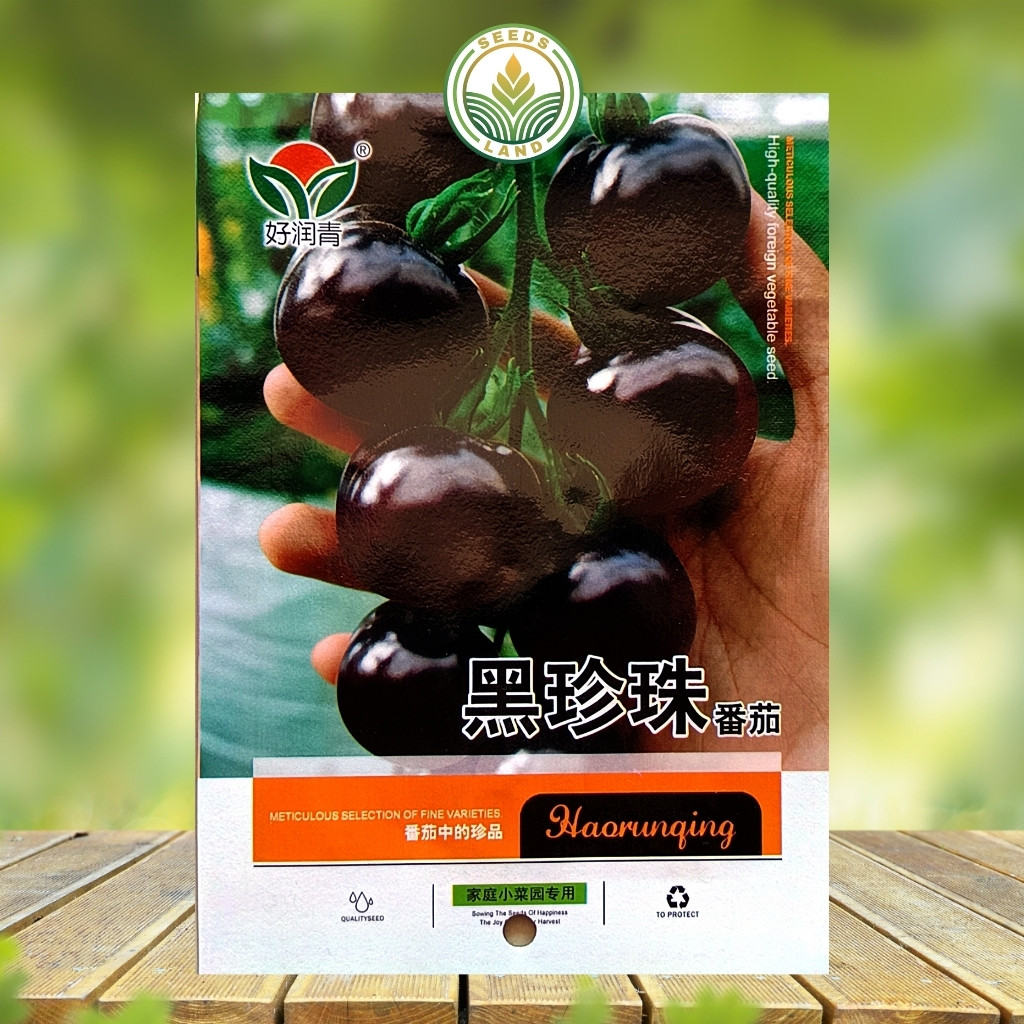 Jual BIJI BENIH TOMAT HITAM | BLACK PEARL KEMASAN ORIGINAL ISI ± 100 ...