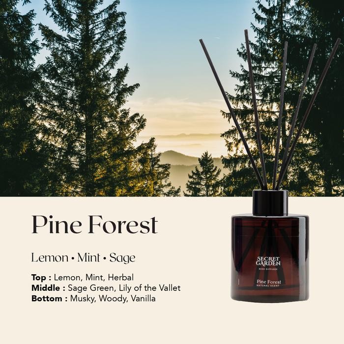 Jual Secret Garden - Pine Forest Aroma Reed Diffuser 140ml Pengharum ...