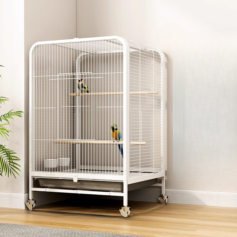 Jual Large Cages Birds Parrots Bird Stand Parrot Rabbits Transport ...