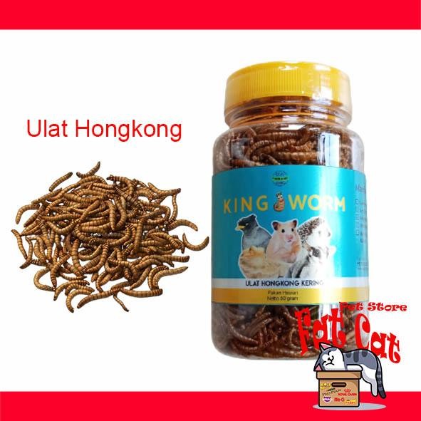 Jual Pilihan- Ulat Hongkong King Worm Kering 50 Gr - Makanan Sugar ...