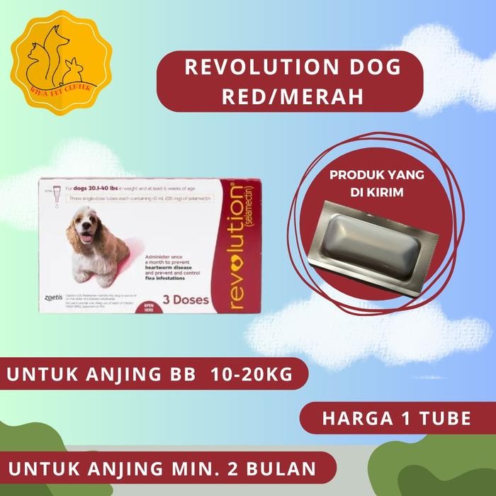 Jual REVOLUTION RED OBAT TETES KUTU ANJING 20,1 - 40 LBS FLEA N TICKS ...