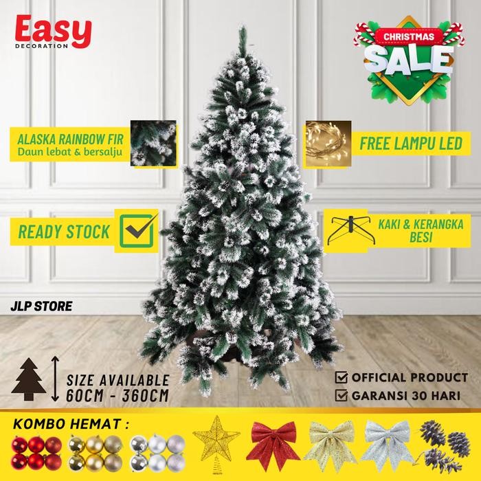 Jual Pohon Natal Premium 2.5 Meter / 8Ft ALASKA RAINBOW FIR CHRISTMAS ...