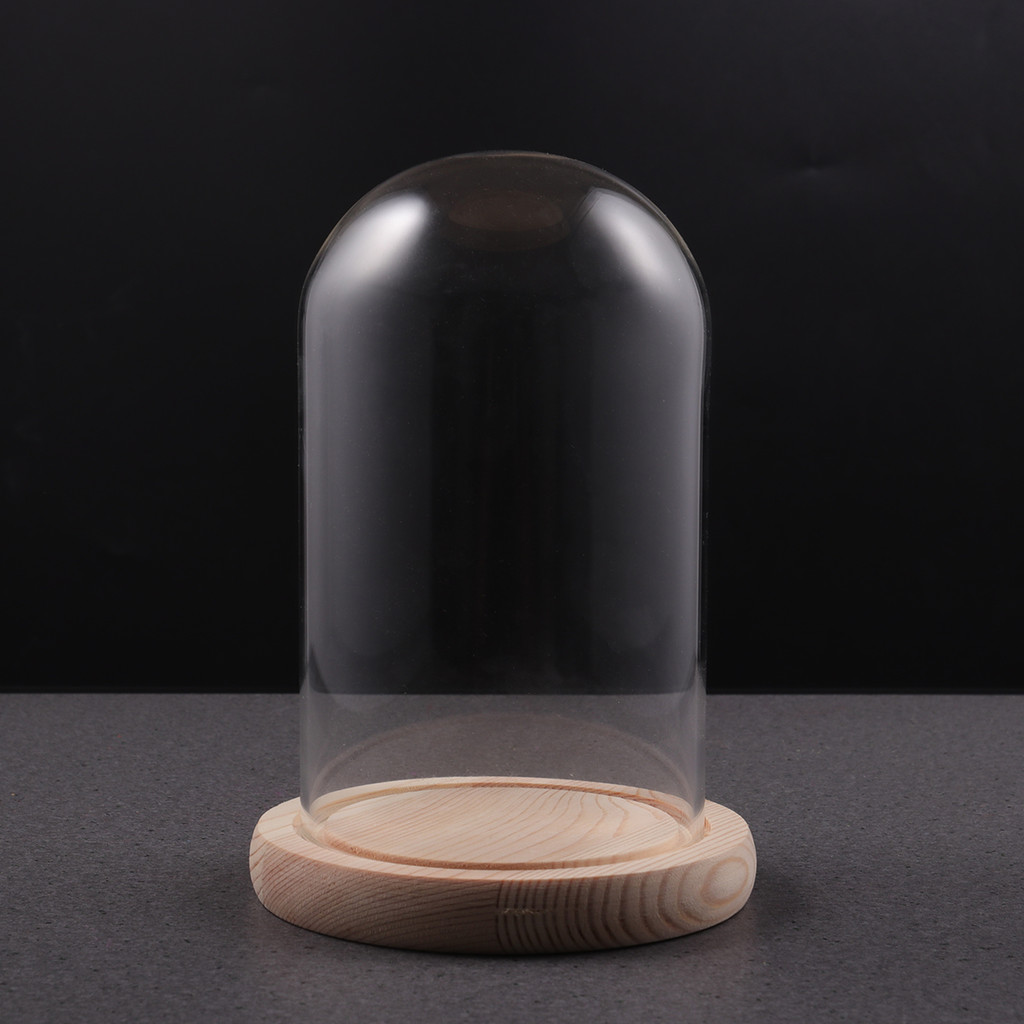 Jual Glass Cover Dome Flower Jar Bell Cloche Transparent Display Case ...