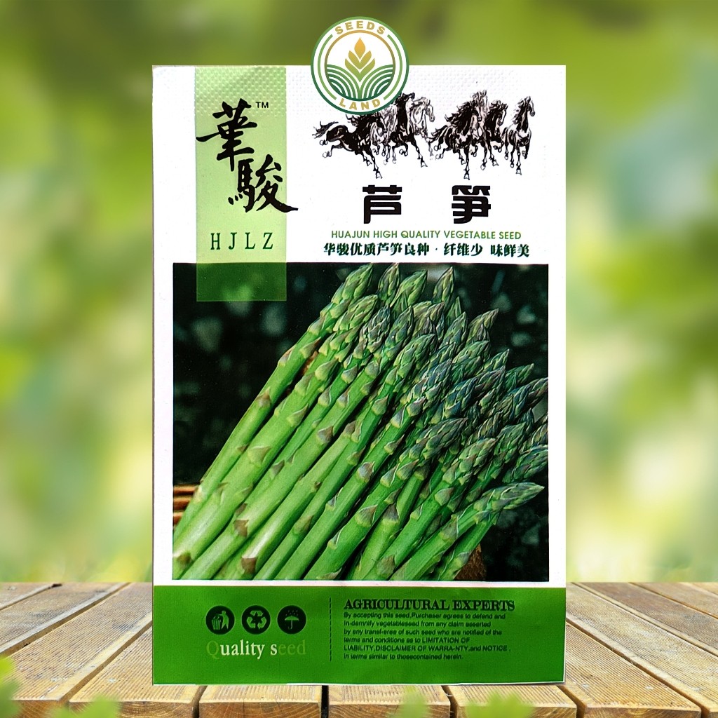 Jual BIJI BENIH SAYURAN ASPARAGUS HIJAU KEMASAN ORIGINAL ISI ± 50 BUTIR ...