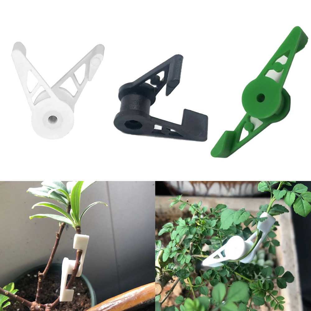Jual 10 Pieces 360 Degree Adjustable Plant Trainer Clips trees Branches ...