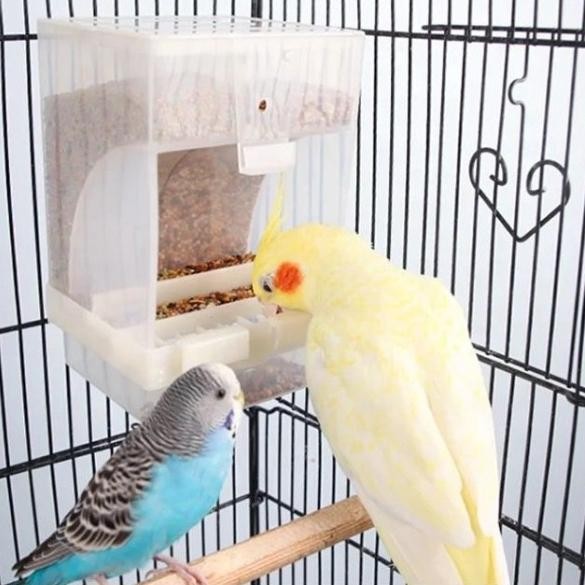 Jual Phoenix Aviary - Dispenser Tempat Makan Burung Import Avr-0005 ...
