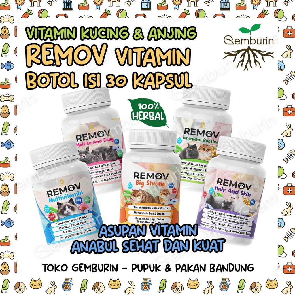 Jual REMOV Vitamin Botol 30 Kapsul / Multivitamin Mother Baby Big ...