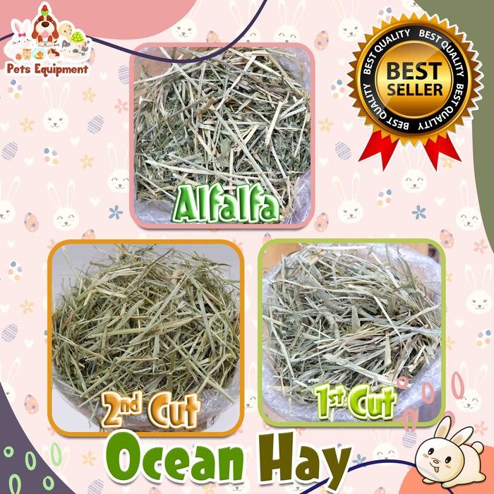 Jual Pilihan- Timothy Hay Ocean Hay 1Kg Pakan Kelinci Guinea Pig/Rabbit ...