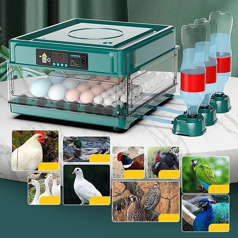 Jual TERLARIS 10/12Eggs Fully Automatic Incubator Screen Display For ...