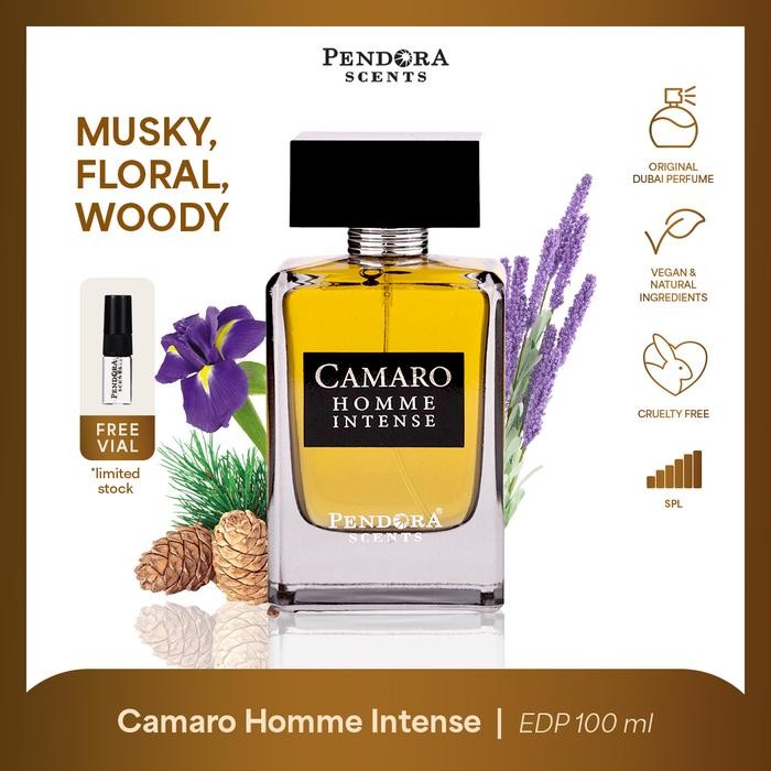 Jual Pilihan- Pendora Scents Camaro Homme Intense For Men Edp 100Ml ...