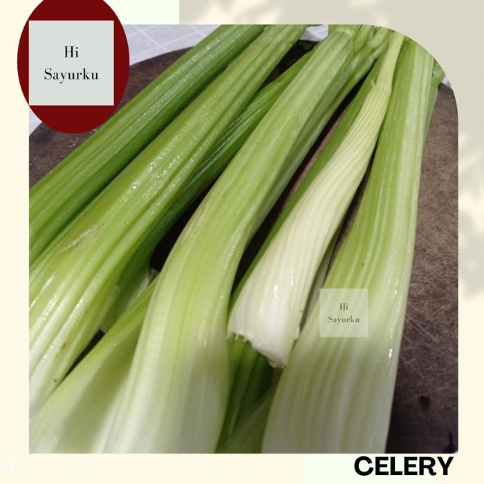 Jual Pilihan- Celery Stick / Celery Stick Import / Seledri Import 1 Kg ...