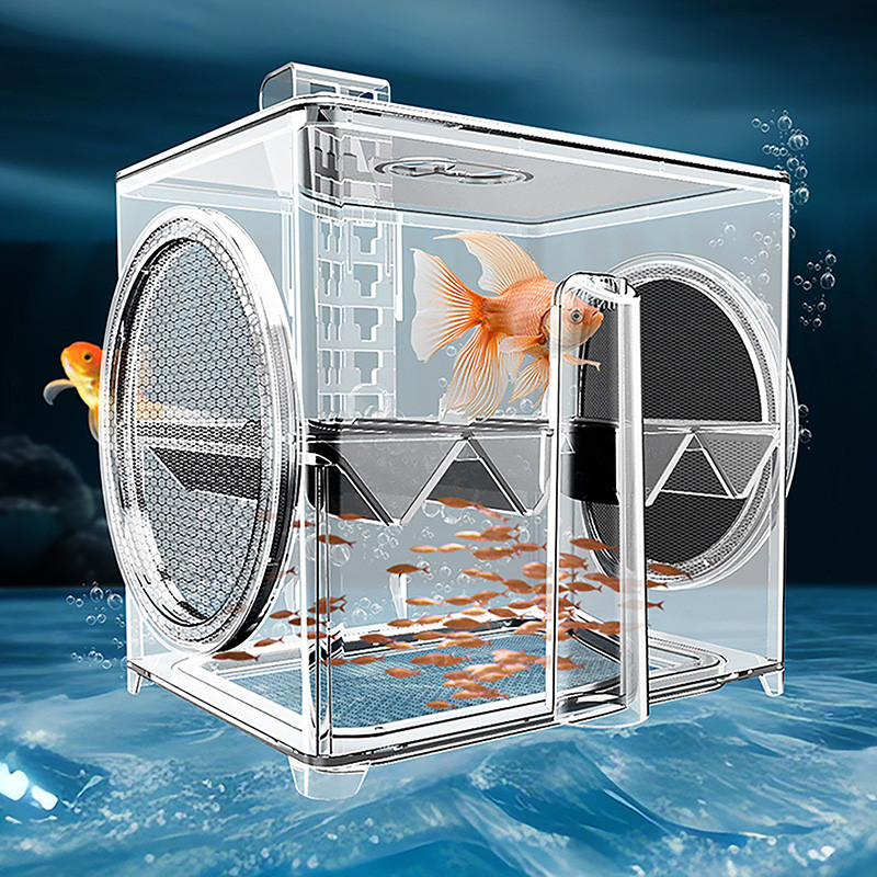 Jual NEW High Quality Acrylic Fish Tank Isolation Incubator And 2M Air ...