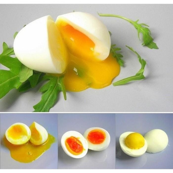 Jual Boiler Alat Rebus Telur Electric Egg Cooker | Shopee Indonesia