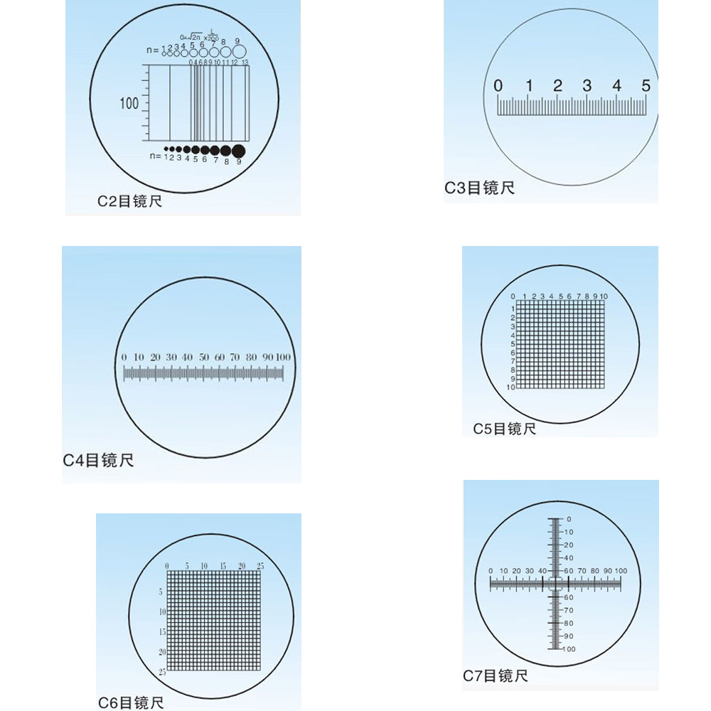 Jual Diameter 19mm Microscope Slides Reticle Calibrating Slide Ruler ...
