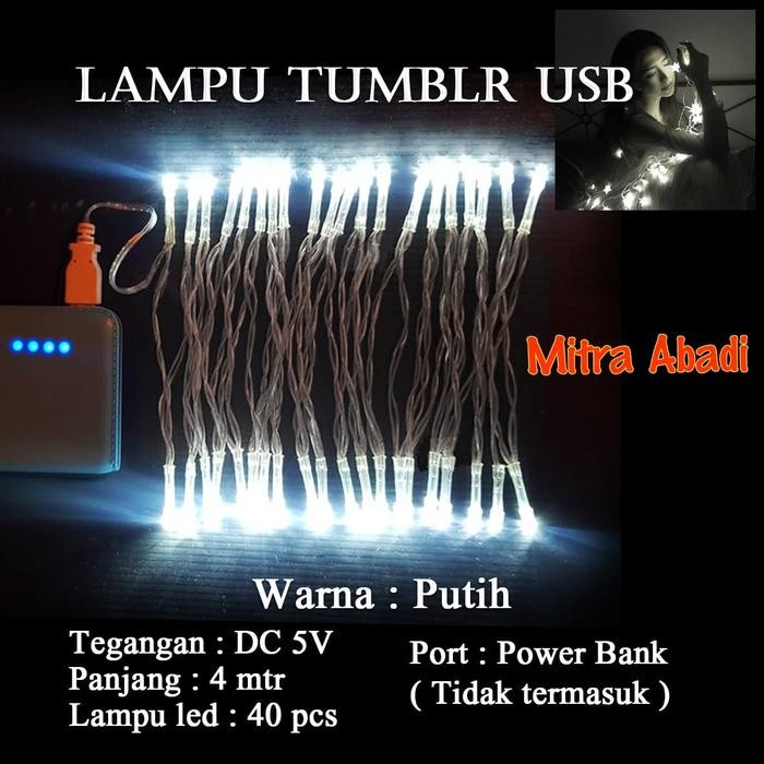 Jual LAMPU NATAL LED USB DC 5V PUTIH/WHITE PANJANG 4 METER | Shopee ...