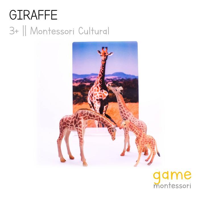Jual Montessori Cultural Wild Animals Giraffes | Shopee Indonesia