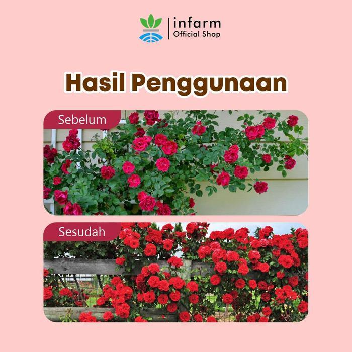 Jual Infarm - Pupuk Anggrek Pupuk Organik Cair Tanaman Bunga 100 Ml Poc ...