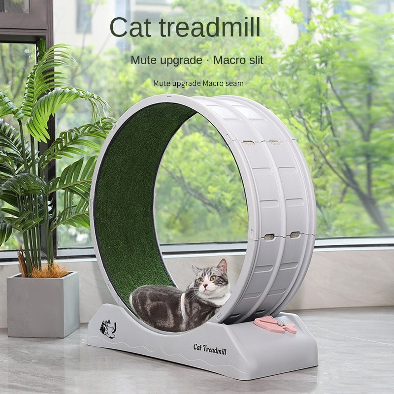 Jual Cat Roller Treadmill Silent Cat Running Wheel Plastic Foot ...