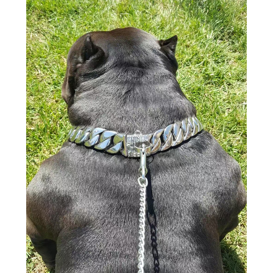 Jual Metal Stainless Steel Dog Collar Pet Steel Chain Bully Dogs Large ...