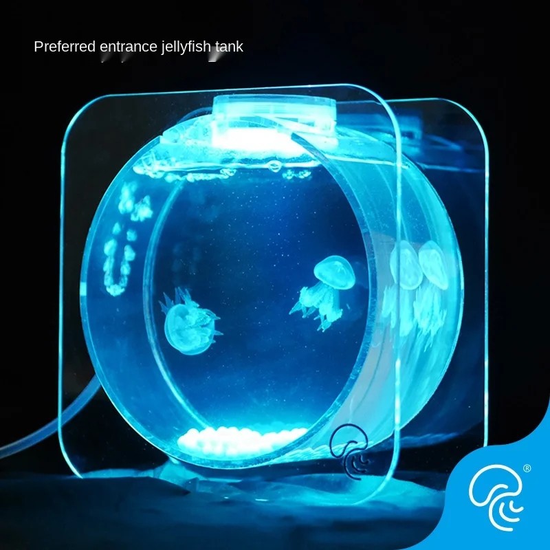 Jual Simple Jellyfish Tank Fully Transparent Mini Red Moon Jellyfish ...