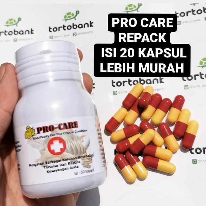 Jual SALE PROCARE ISI : 20 KAPSUL OBAT PILEK KURA OBAT KURA OBAT REPTIL ...