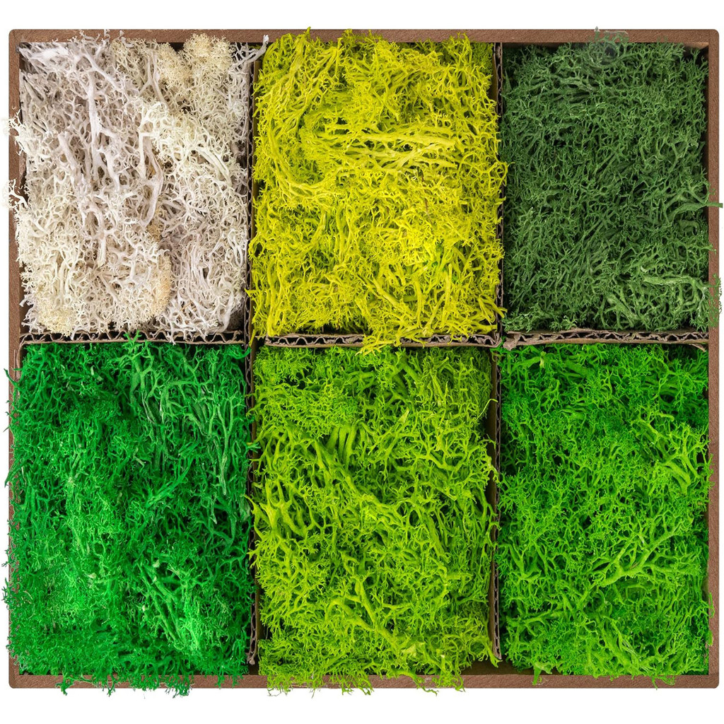 Jual Mini Landscape Fake Grass DIY Crafts Artificial Green Plants ...