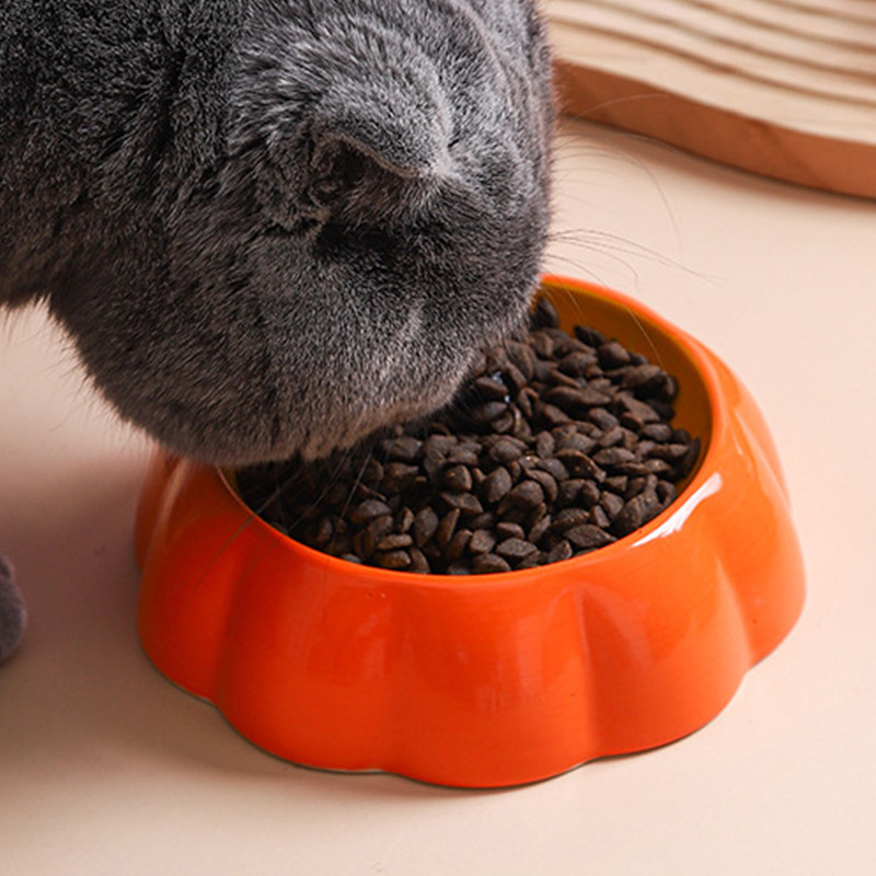 Jual Cat Ceramic Bowl for Small Pet Puppy Kitten Cute Fruit Shape ...
