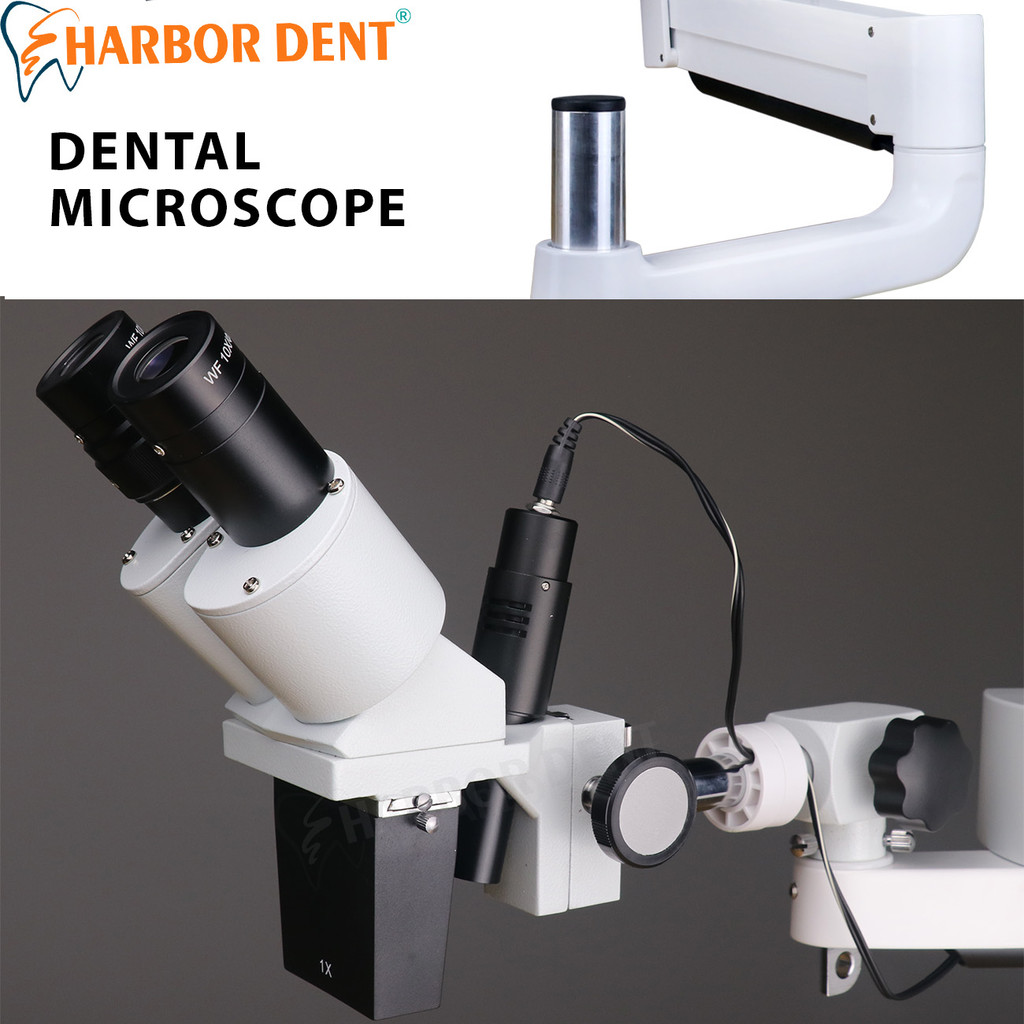 Jual 20X Dental Binocular Microscope With 5Watt LED Portable Surgical ...